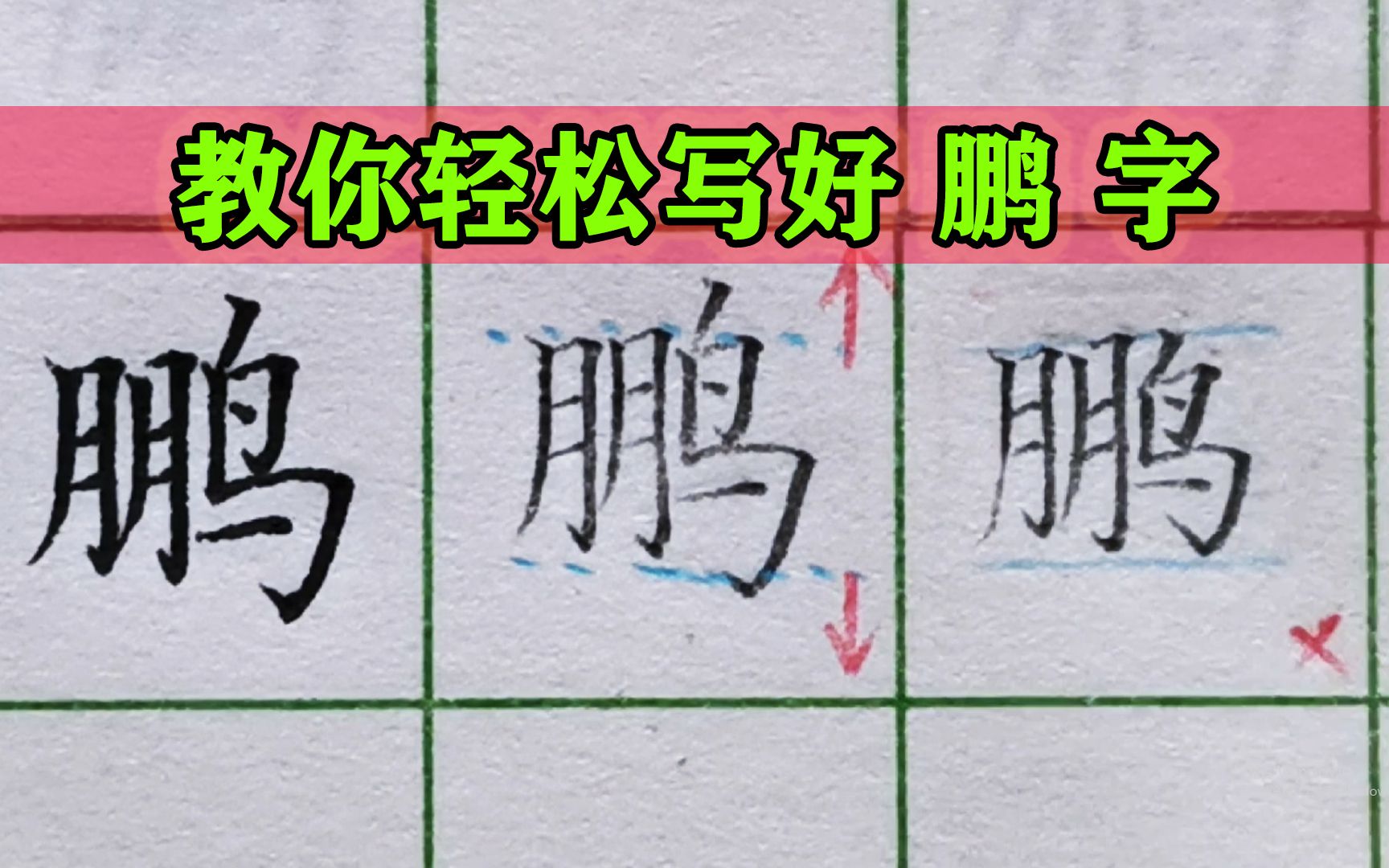 难写汉字之“鹏”,掌握以下五点,练字小白也能写好它,快试试吧