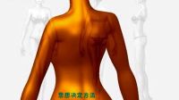 无维网首发Creo2人体3D建模演示(五):细节