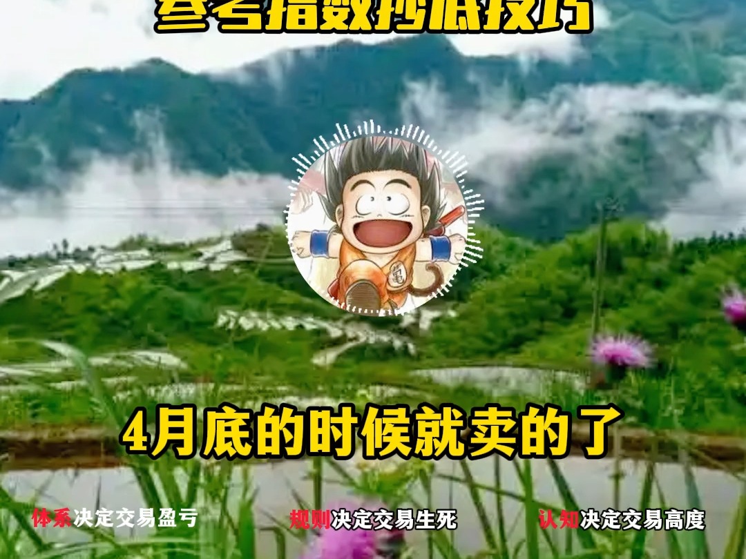 204_参考指数抄底技巧#北京炒家模式 #短线交易