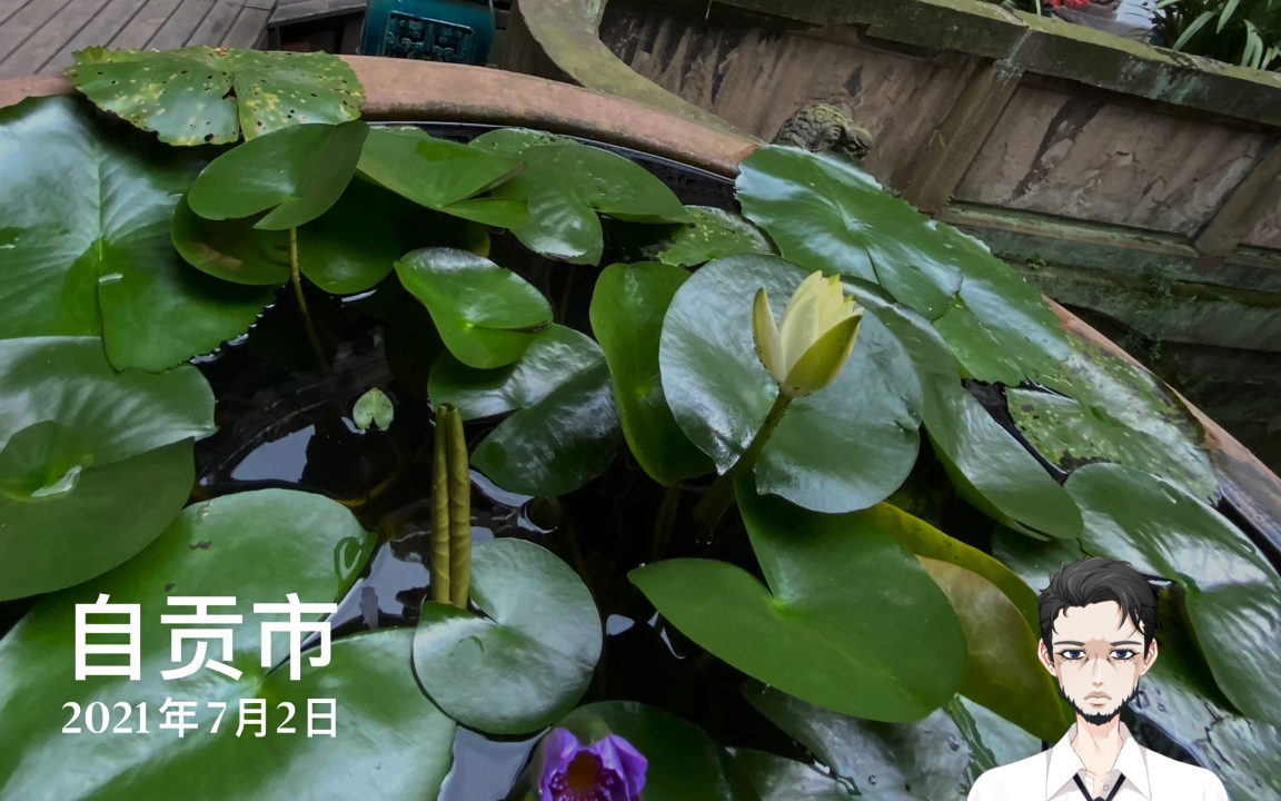 自贡市-综合实习记录