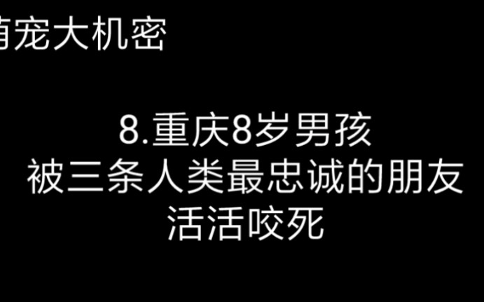 狗狗就是喜欢咬死咬伤8岁男孩女孩!16例狗咬人案例让你了解什么才是...