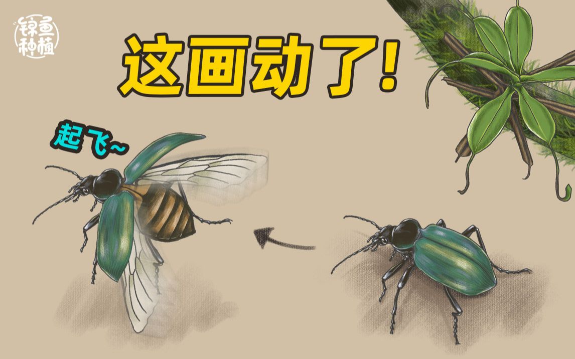 如何让你的画动起来?--插画插图动画化的制作思路
