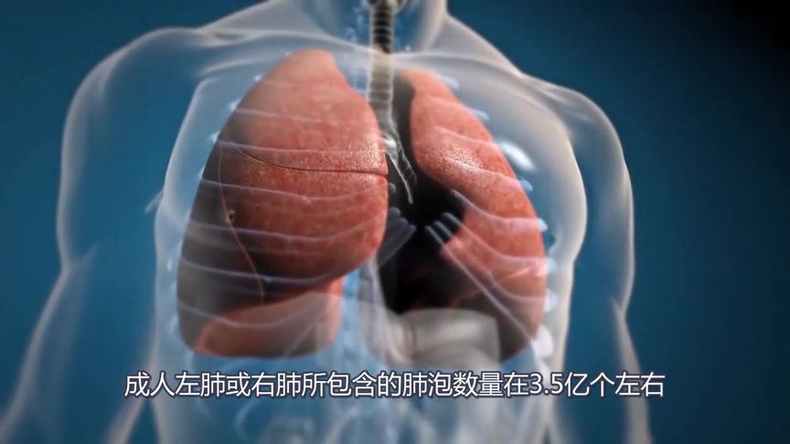 看新型冠状病毒是如何侵入人体的,帮助您做好自我保护和预防!