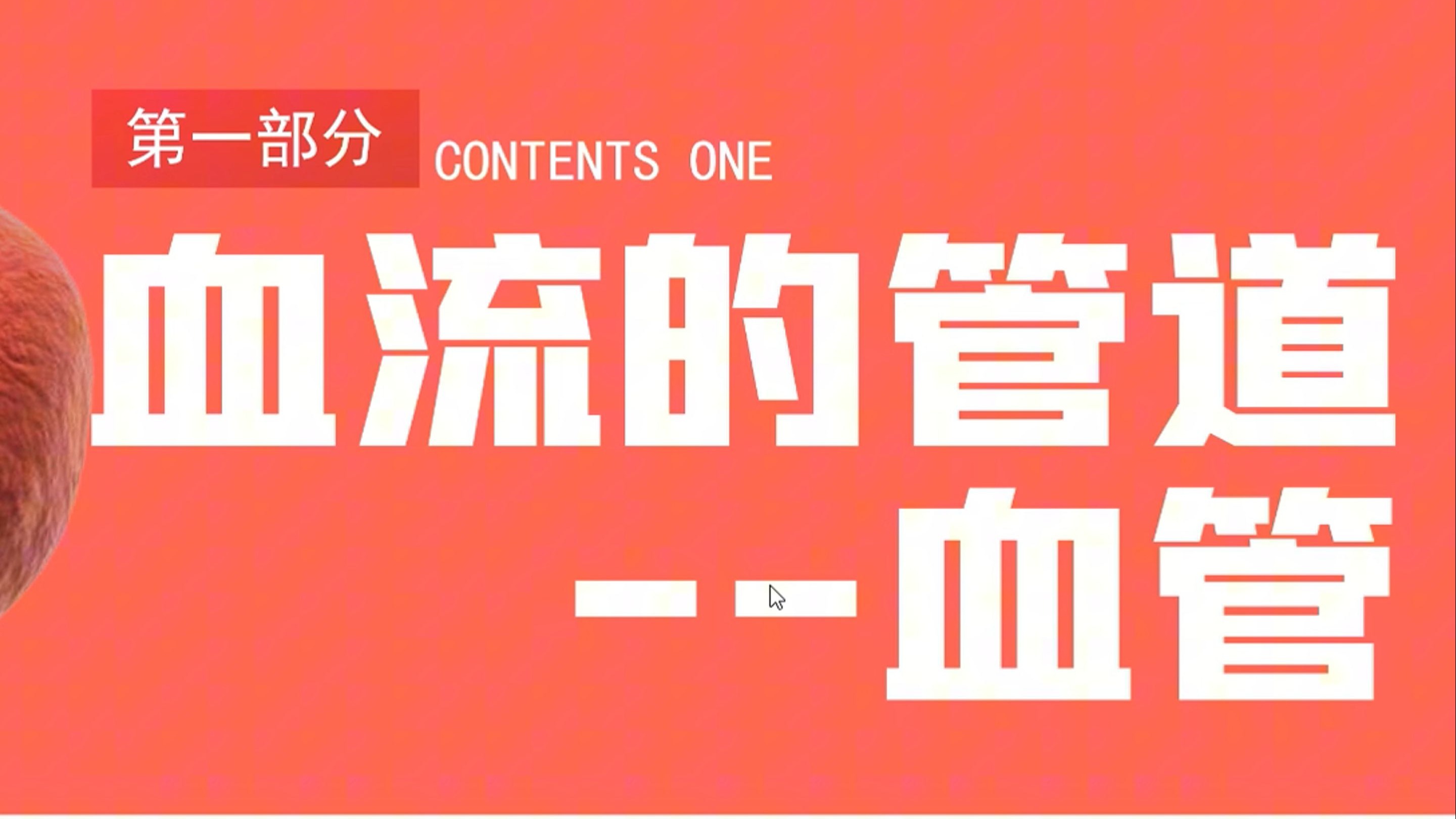 北师大生物七下:血管和心脏