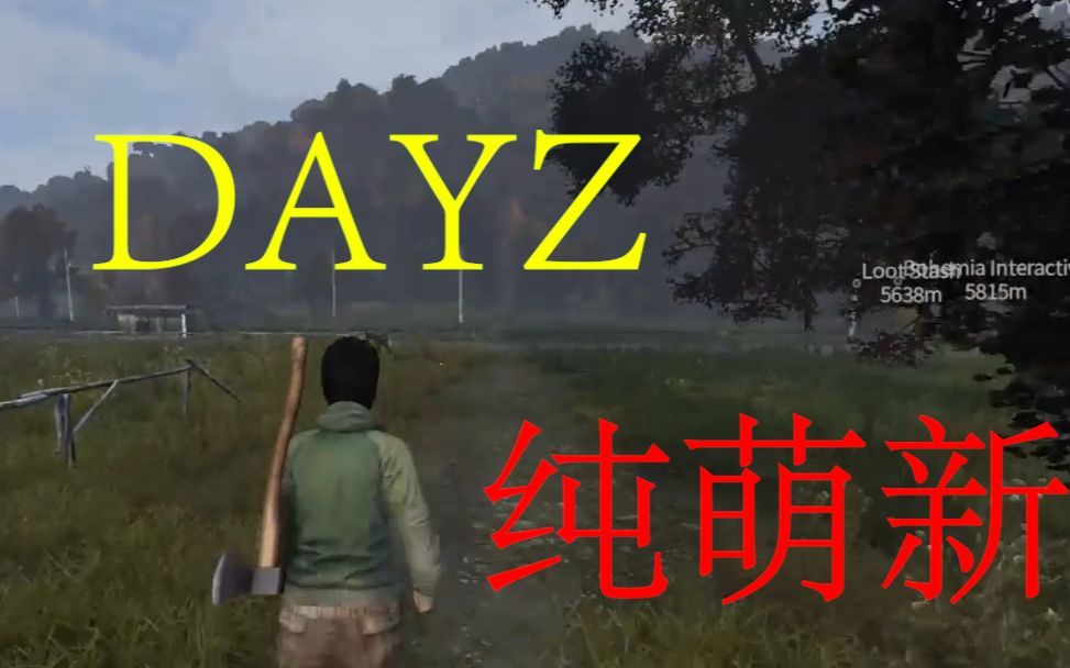DAYZ纯萌新来玩这款游戏