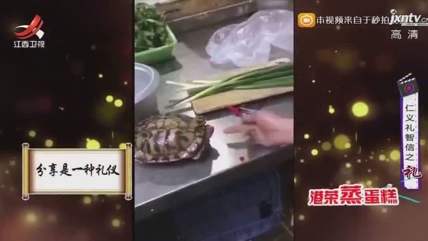 心疼小乌龟3秒钟 遇上这样的主人真是烦心啊