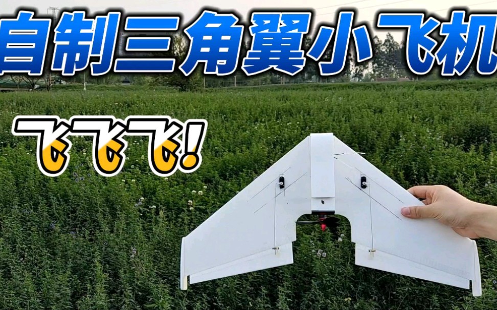 公园级自制三角翼小飞机,巨好飞!