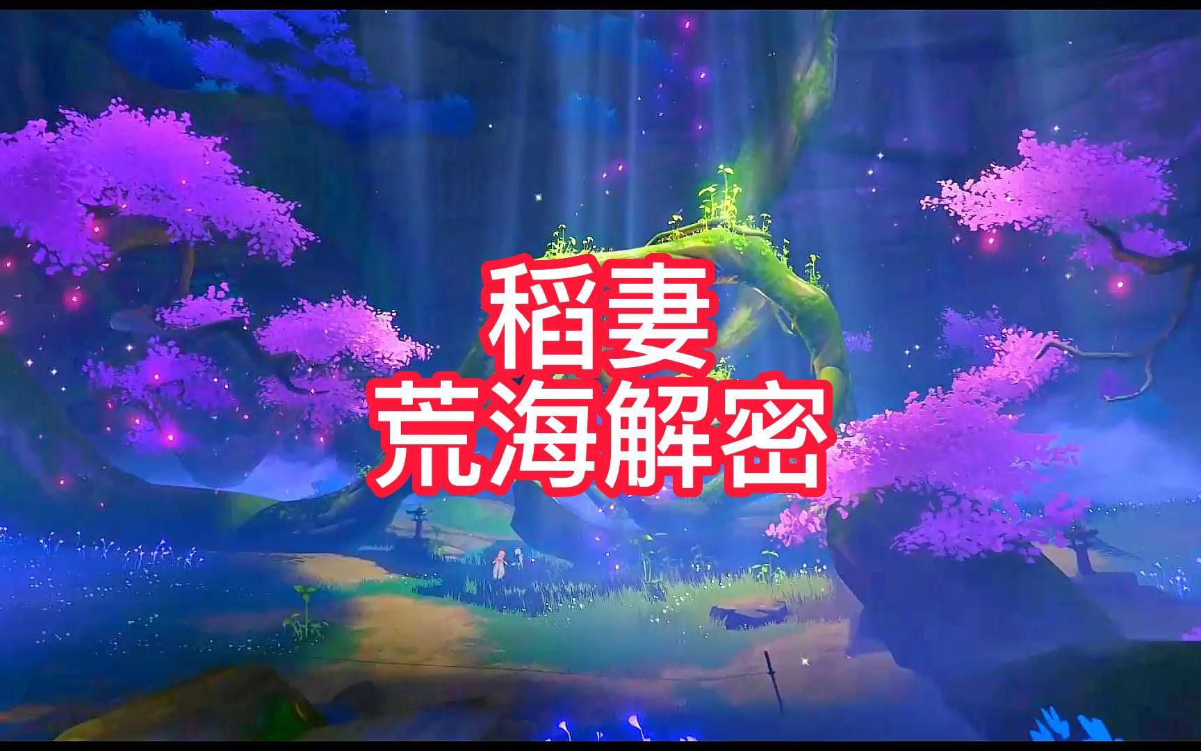 原神稻妻荒海解密