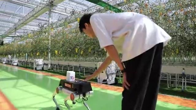 视频|数字桐乡的互联网时光