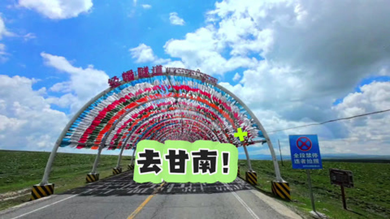 听说有一些美不需要文案,夏日的甘南算不算
