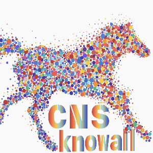 CNS图表一键出图 
