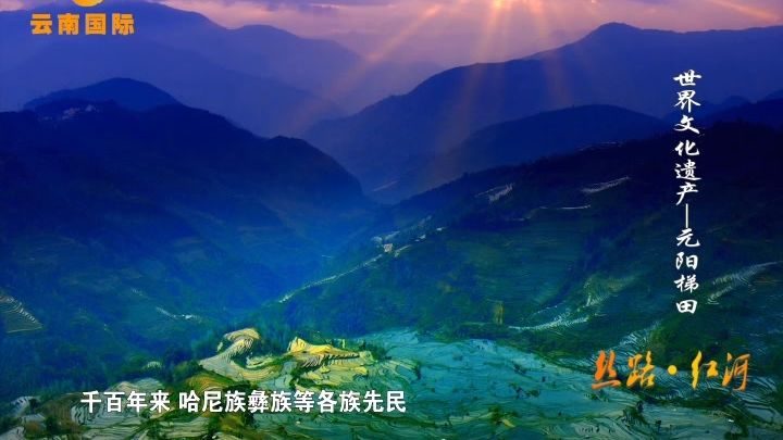 |丝路红河|元阳:推广稻鱼鸭种养模式 哈尼梯田成致富田