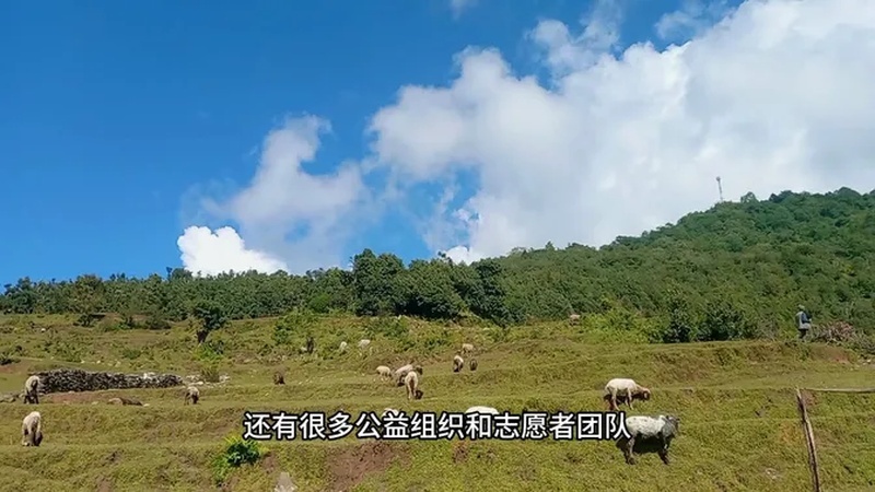 残疾人也需要一份养活自己的工作,他们是怎么做到的