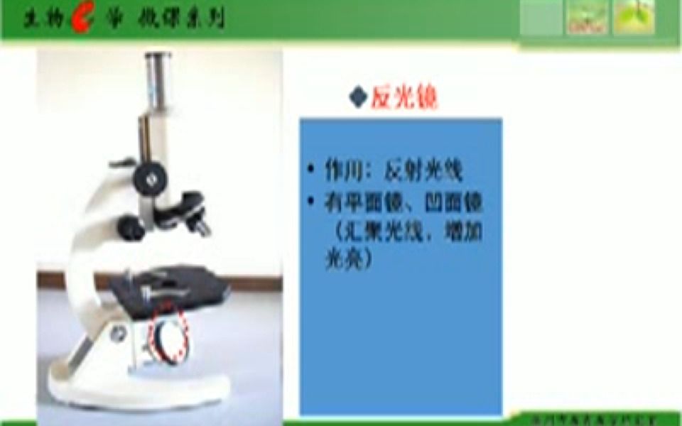 徐州市七年级生物 显微镜的结构与操作