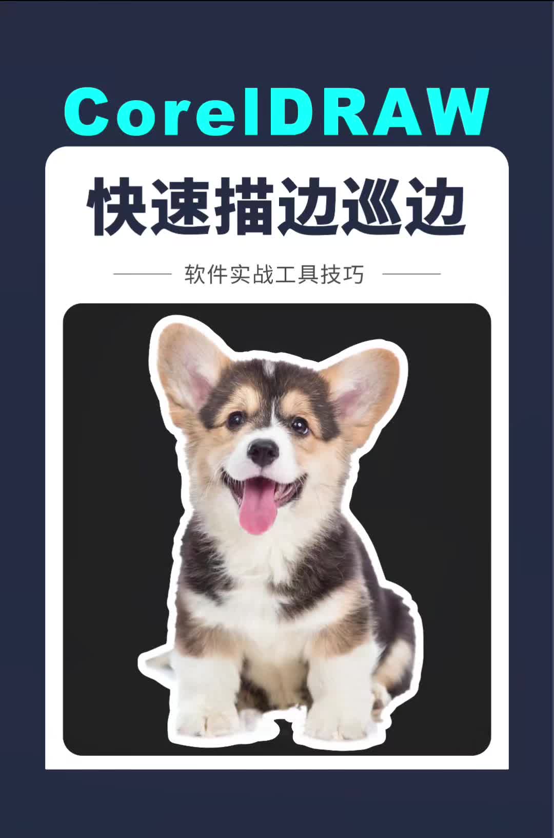 CDR快速给位图做描边巡边效果,cdr基础入门到精通 邱凤娟老师的平面...