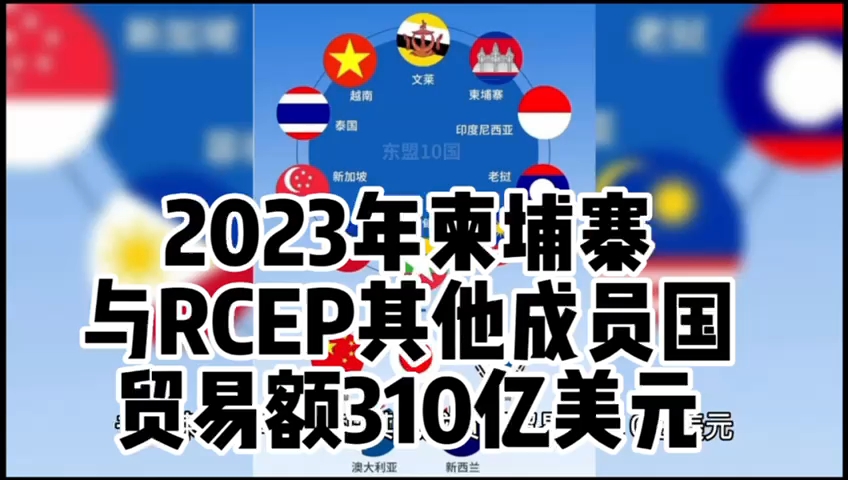 2023年柬埔寨与RCEP其他成员国贸易额310亿美元