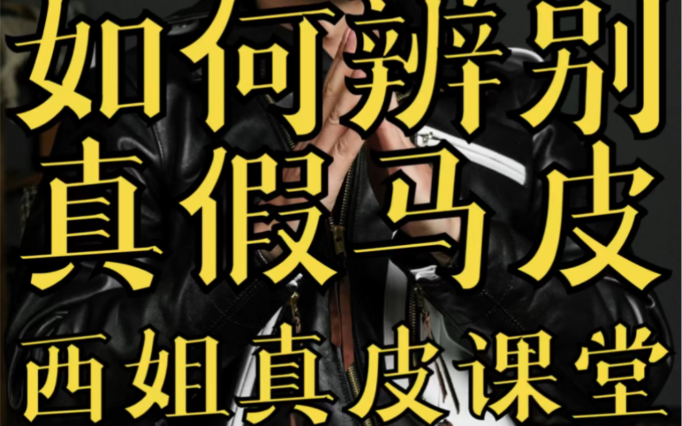 如何辨别真假马皮?西姐真皮课堂第21课