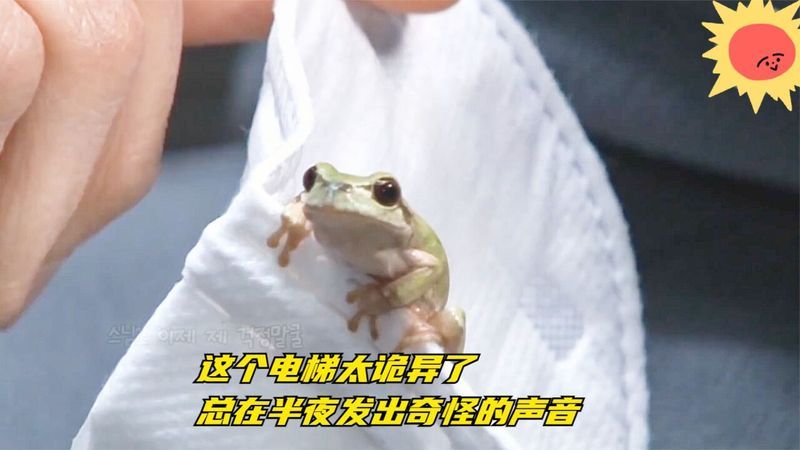 这个电梯太诡异了,总在半夜发出奇怪的声音,难道是阿飘吗