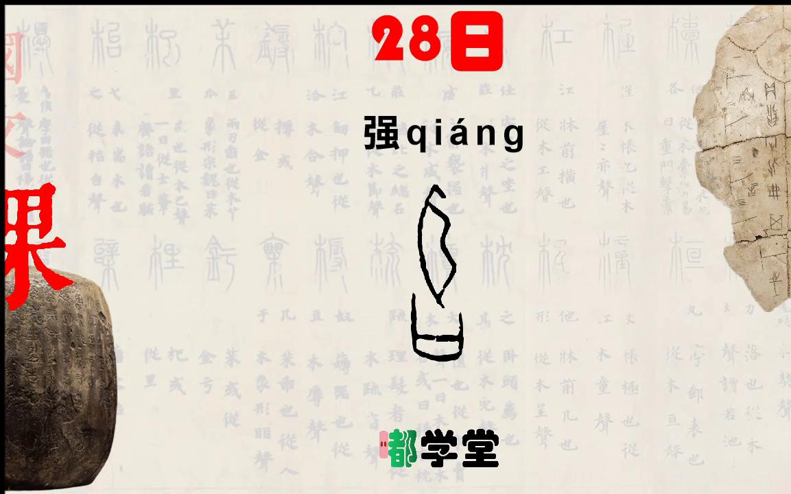 汉字有多强——“强”字的字形变化与意义演变