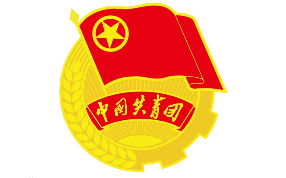 增强团员意识,承担青春使命(微团课)