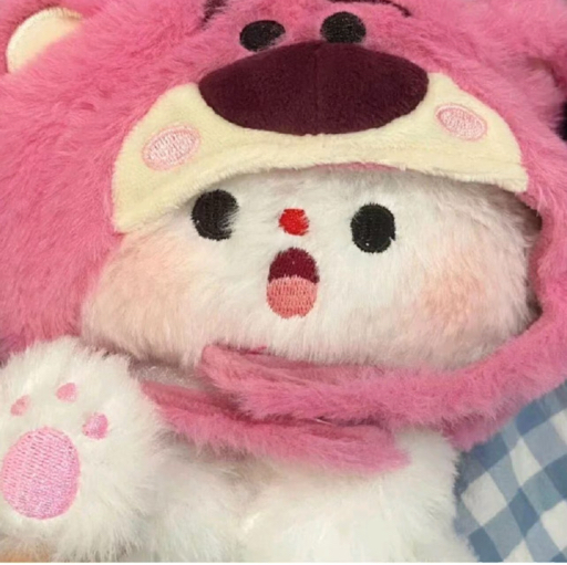 星栀小橙兔 