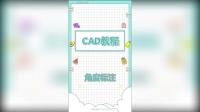 CAD角度标注