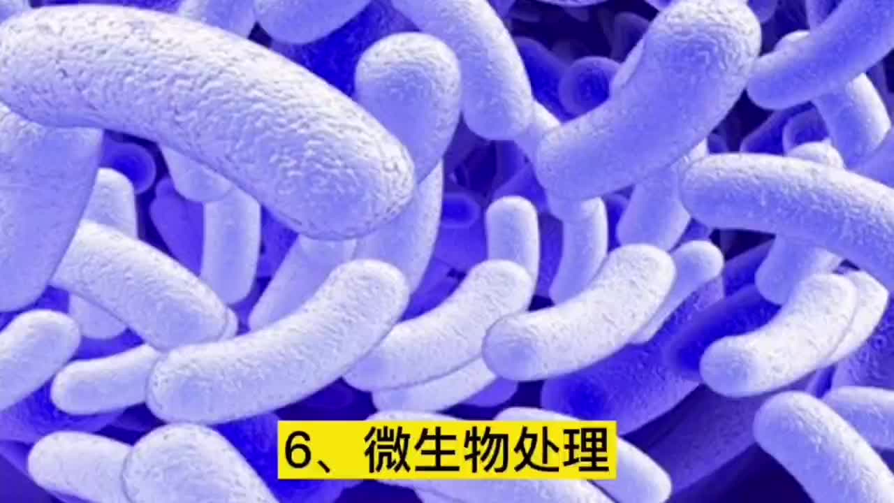 什么才是餐厨垃圾处理最好的方法?(下)