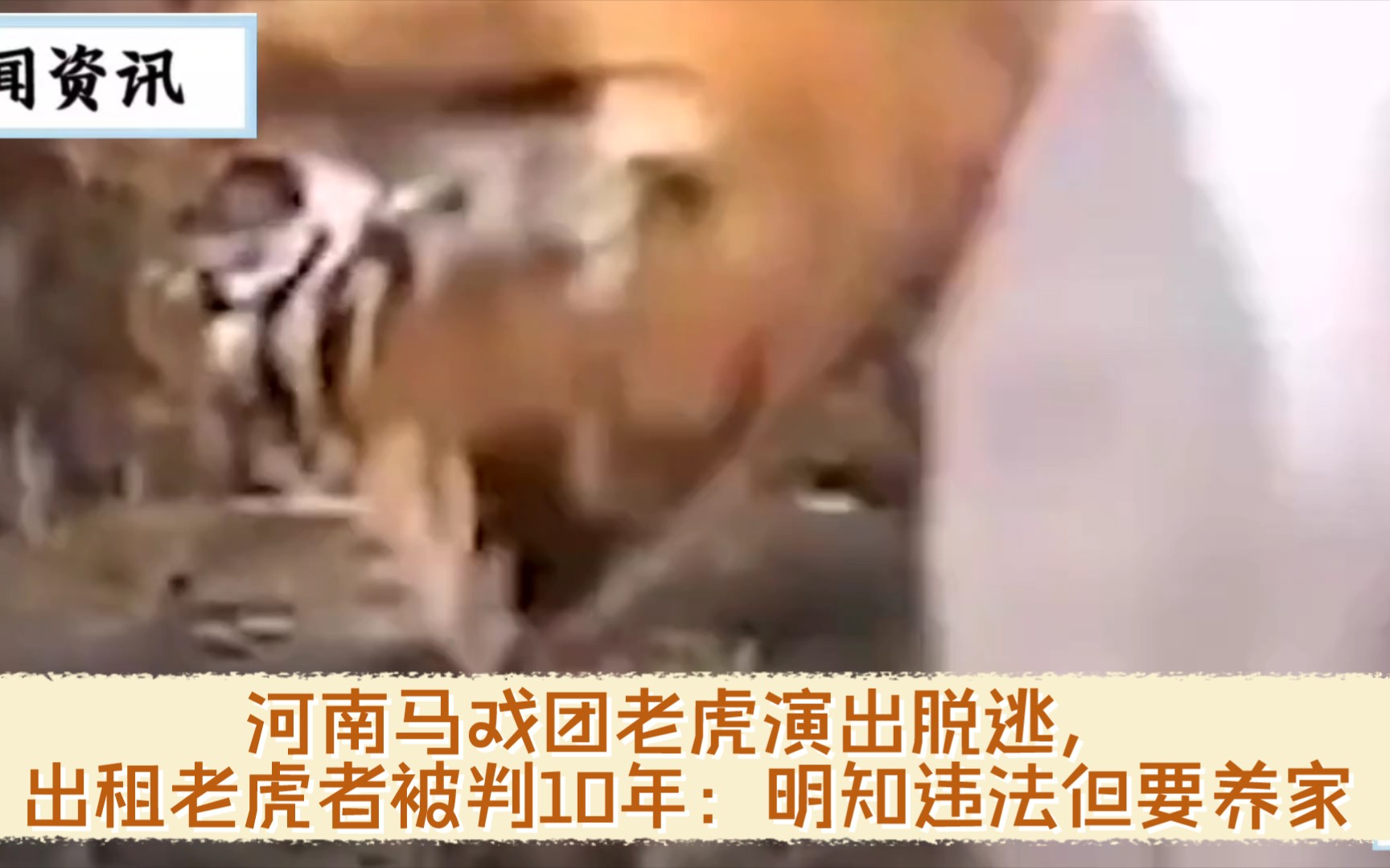 河南马戏团老虎演出脱逃,出租老虎者被判10年:明知违法但要养家