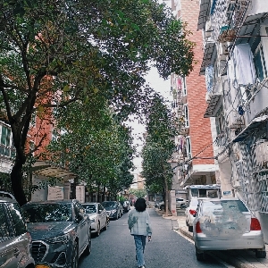 Scarlett在努力吖 
