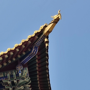 戏迷彧雨 
