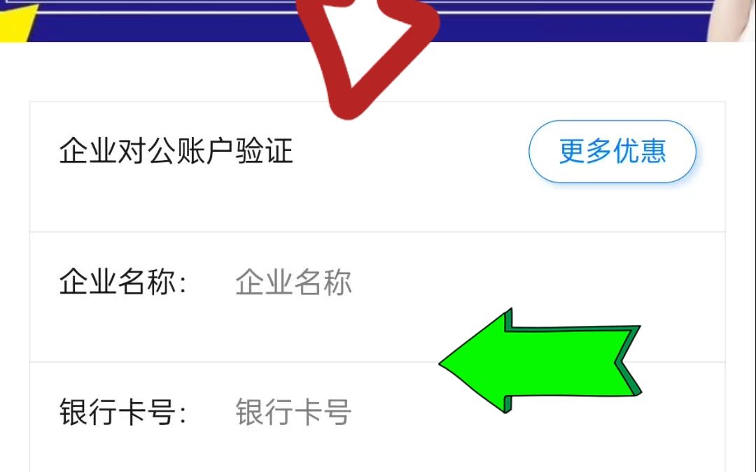企业银行开户行及账户查验