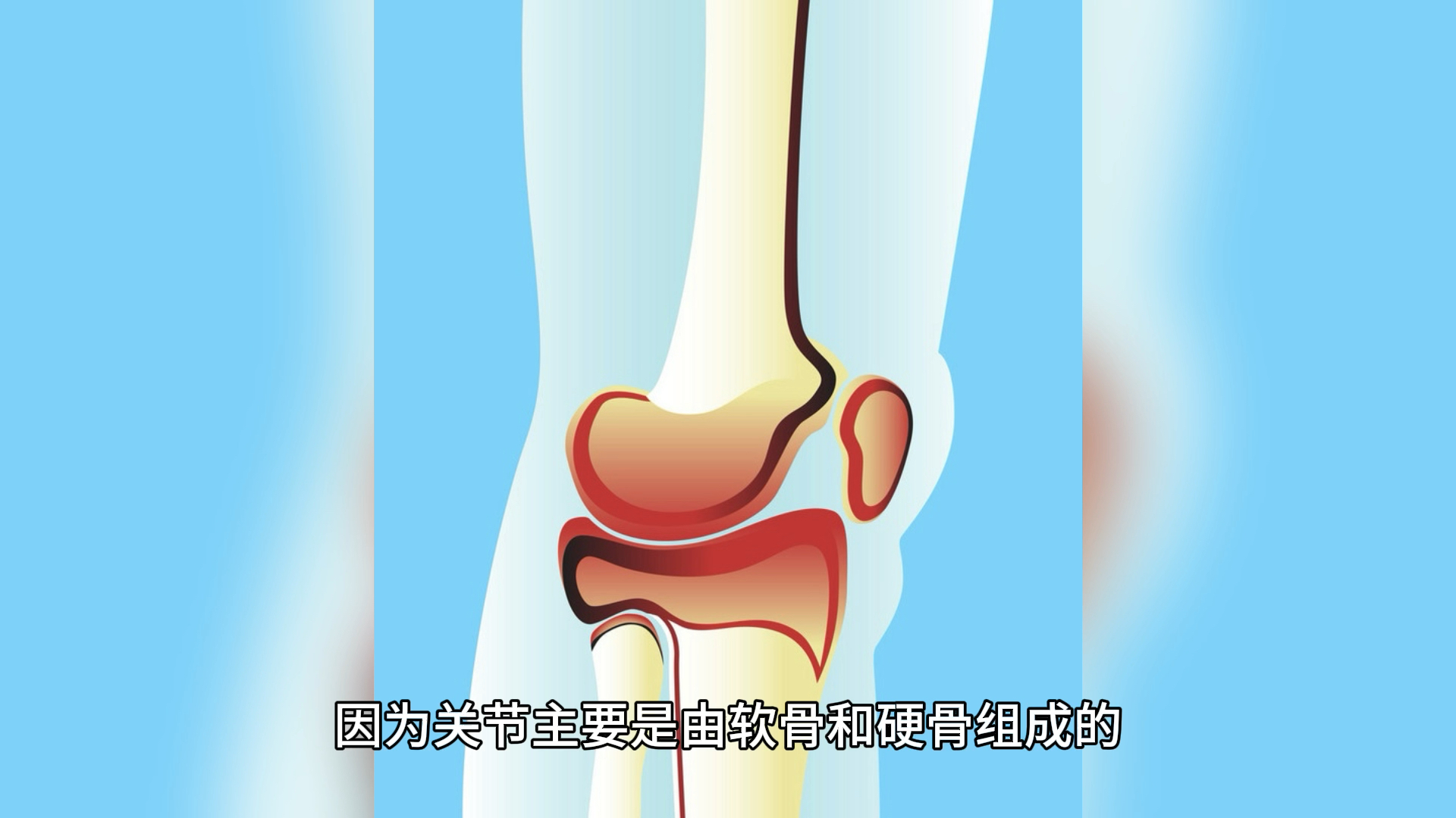 氨糖与软骨素的作用傻傻分不清?养护关节,这俩都得有 #氨糖软骨素...