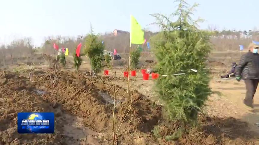 通济新经济区:开展植树造林志愿活动 为生态颜值增添新绿