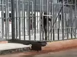 7分钟轻钢别墅建造过程,轻钢结构房屋自建房安装步骤