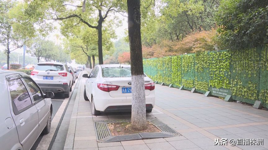 株洲城管部门现场执法 整治占用人行道停车行为