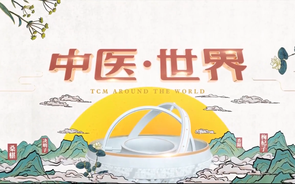 《中医·世界》专题片【5集全】
