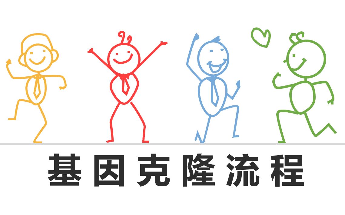 【基因克隆流程】基本操作流程等7个版块,各部分时间在简介~