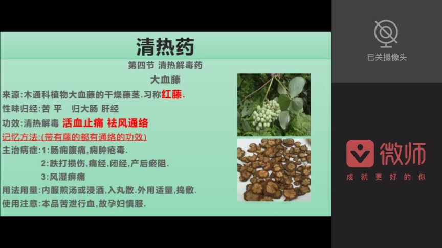 执业中药师专业知识二——大血藤