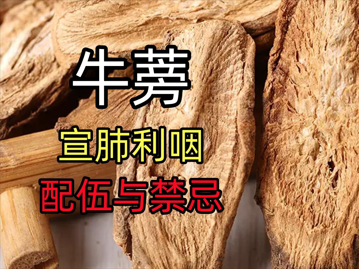 牛蒡的主要功效,以及搭配方法,禁忌同样不容忽视