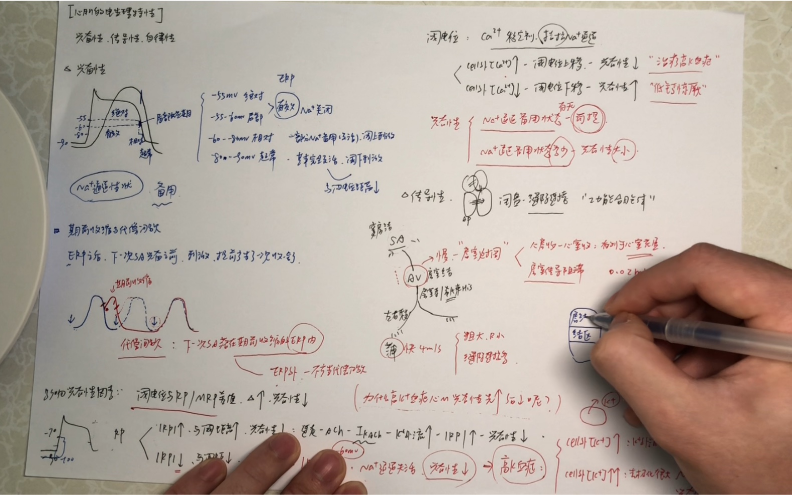 【心肌的电生理特性】医学生的生理学习分享 兴奋性?传导性?自律性?