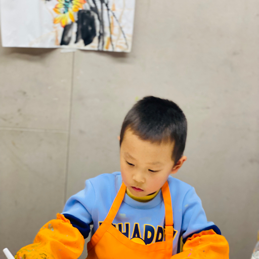 study天天向上 