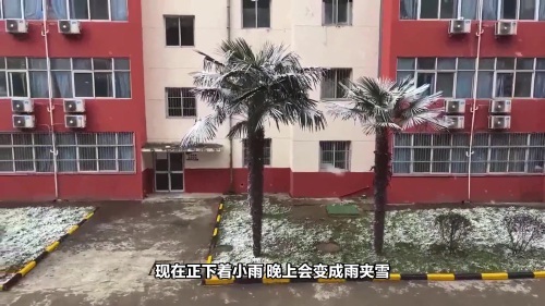 在西北农林科技大学,晴天与雨天的惊喜反差会带来怎样的生活体验?