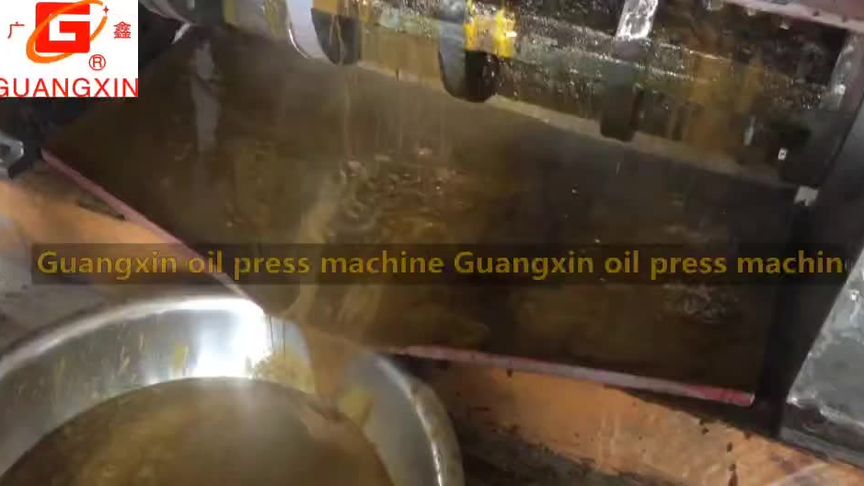 广鑫日处理量20吨棕榈果专用榨油机,需要的联系 #棕榈果榨油机