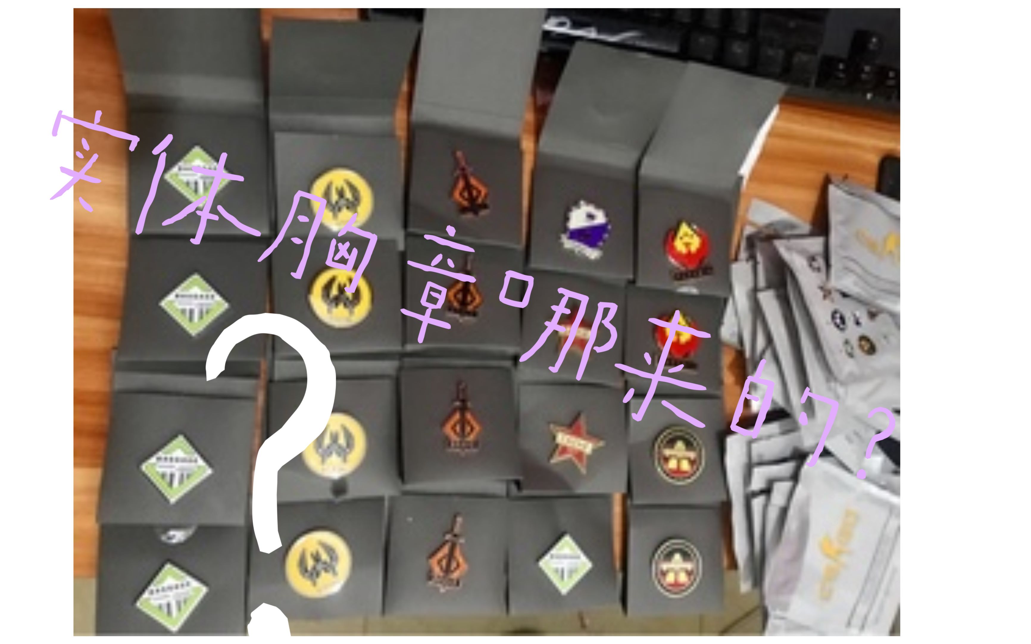 橘子的CSGO科普栏目 第九期 实体胸章哪里弄 纪念币的分类