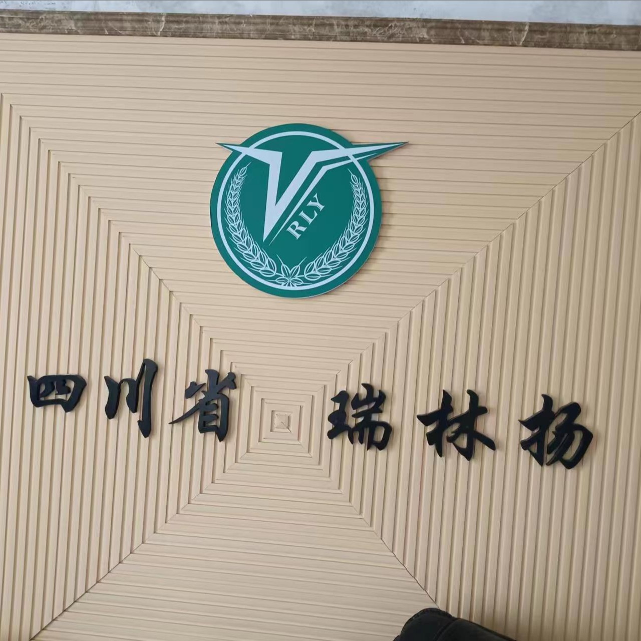 瑞林扬监理 