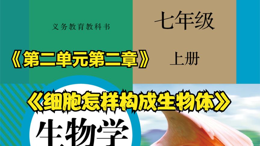 初中生物七年级上册第二单元第二章“细胞怎样构成生物体”