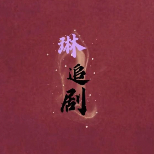 琳追剧 