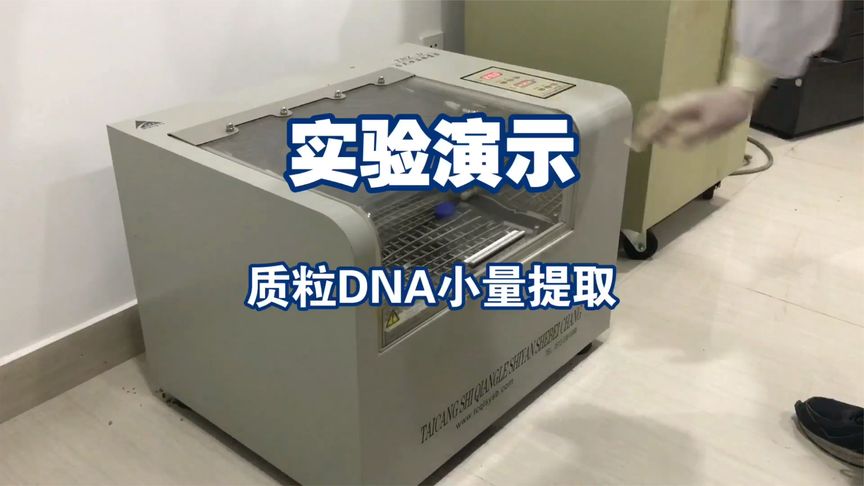 手把手教你做实验_质粒小提
