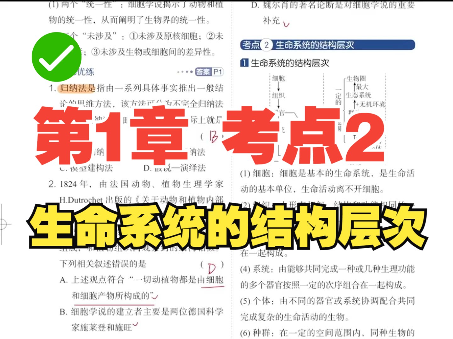第1章 考点2 生命系统的结构层次