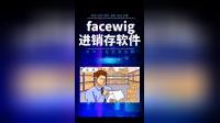 优秀的售后服务,facewig仓库进销存库存管理系统erp软件